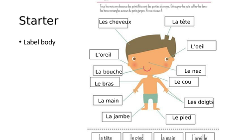 French KS3 parts of the body | Teaching Resources