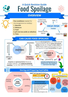 Food Spoilage Revision Infographic by nirunas95 | Teaching Resources