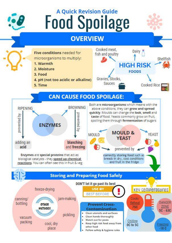 Food Spoilage Revision Infographic | Teaching Resources