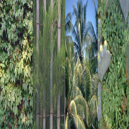 Foliage Digital Papers - Commercial Use - Pack 1 | Teaching Resources