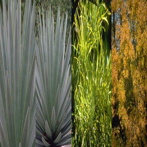 Foliage Digital Papers - Commercial Use - Pack 2 | Teaching Resources