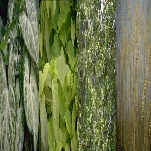 Foliage Digital Papers - Commercial Use - Pack 3 | Teaching Resources