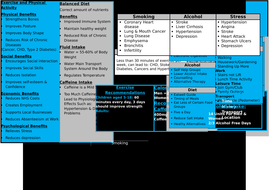 Original notes for the BTEC Unit 2 Exam - Knowledge Organiser for parts ...