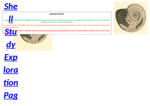 Shell Drawing Tasks | Teaching Resources