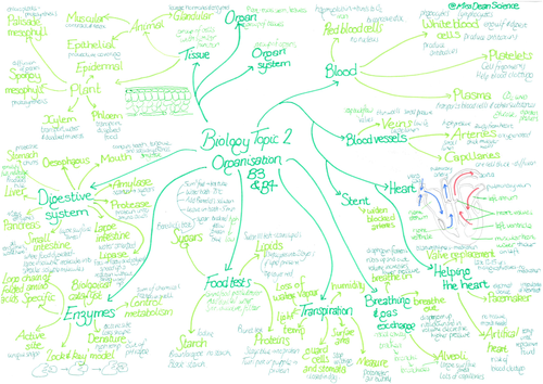 AQA Biology Paper 1 Revision Mind maps | Teaching Resources