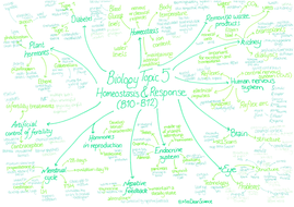 AQA Biology Paper 2 Revision Mind maps | Teaching Resources