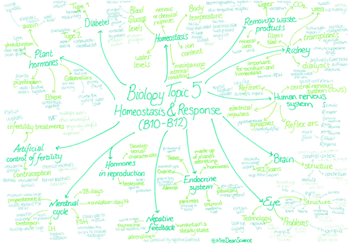 AQA Biology Paper 2 Revision Mind maps | Teaching Resources