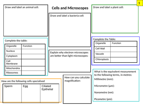 Biology Paper 2 Revision Posters for Edexcel Combined Science 9-1 (from ...