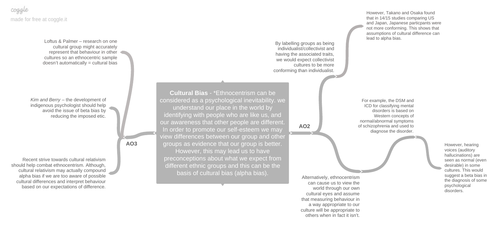 Culture Bias Controversy Mind-maps | Teaching Resources