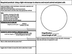 Required Practical Revision Mat - Using a Light Microscope | Teaching ...