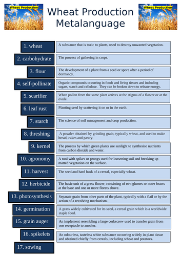 Wheat Production - Metalanguage | Teaching Resources