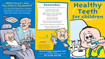 Persuasive Writing: Leaflets | Teaching Resources