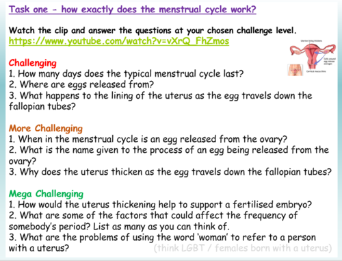 Puberty - Periods / Menstruation | Teaching Resources