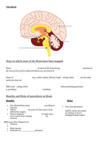 The Brain | Teaching Resources