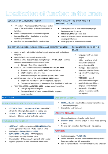 Revision posters for AQA A Level Psychology - Biopsychology | Teaching ...
