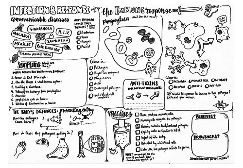 Infection and Response Revision - NEW AQA GCSE Trilogy Biology - 2 ...