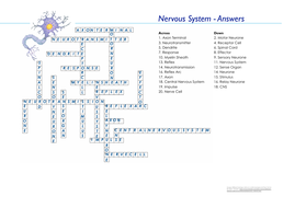 Nervous System Crossword - EDEXCEL GCSE (9-1) Combined Science Paper 1 ...