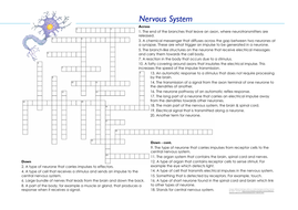 Nervous System Crossword - EDEXCEL GCSE (9-1) Combined Science Paper 1 ...