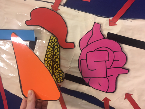 Human Digestive system Interactive Classroom Display | Teaching Resources