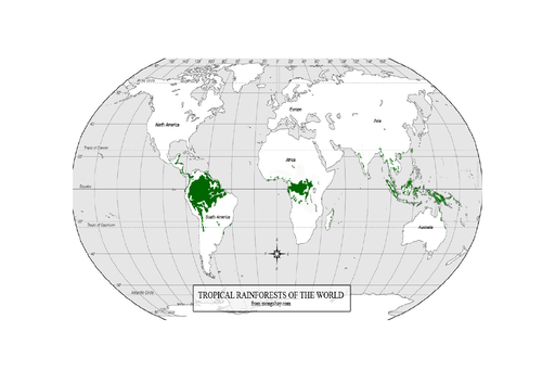 Rainforest Plan and resources | Teaching Resources