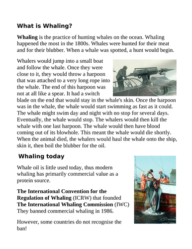 The Whale Rider | Teaching Resources