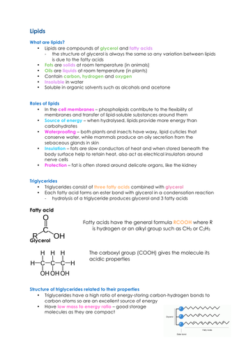 AQA AS Biology Notes for NEW 2017 A LEVEL | Teaching Resources