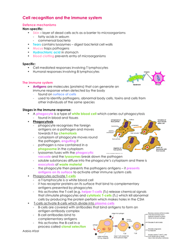 AQA AS Biology Notes for NEW 2017 A LEVEL | Teaching Resources