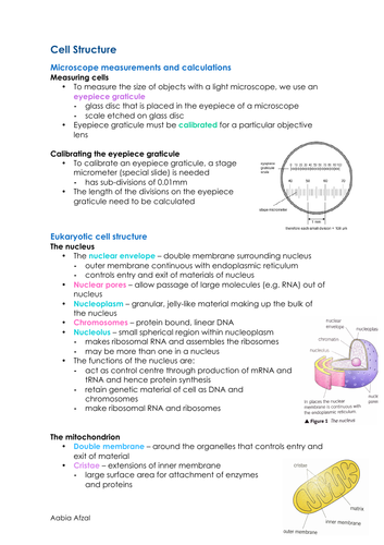 AQA AS Biology Notes for NEW 2017 A LEVEL | Teaching Resources