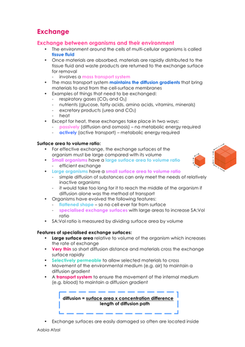 AQA AS Biology Notes for NEW 2017 A LEVEL | Teaching Resources