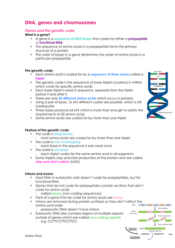 AQA AS Biology Notes for NEW 2017 A LEVEL | Teaching Resources