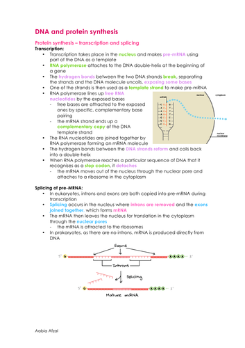 AQA AS Biology Notes for NEW 2017 A LEVEL | Teaching Resources