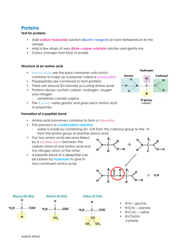 AQA AS Biology Notes for NEW 2017 A LEVEL | Teaching Resources