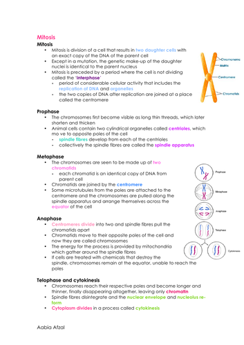 AQA AS Biology Notes for NEW 2017 A LEVEL | Teaching Resources