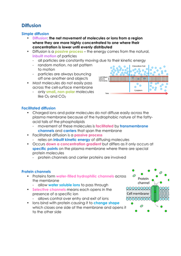 AQA AS Biology Notes for NEW 2017 A LEVEL | Teaching Resources