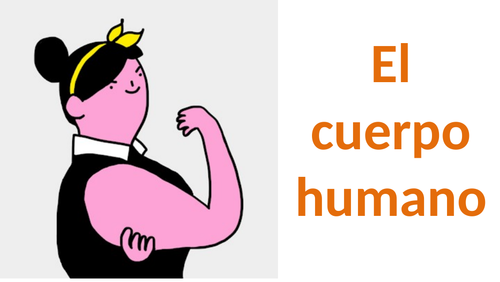 SPANISH KS3 BODY PARTS MEDICINE HOSPITAL MODULE presentation | Teaching ...