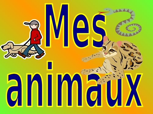 FRENCH KS3 ANIMALS MODULE ppt | Teaching Resources