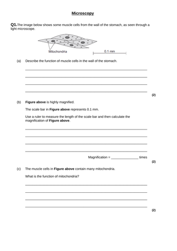 GCSE Bio- Microscopy in 30 mins | Teaching Resources