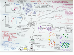 CC13, Revision Mindmap, Edecel Rates of Reactions | Teaching Resources