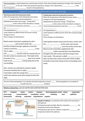 Homeostasis:- Thermoregulation - AQA GCSE Biology 9-1 Revision Sheets ...