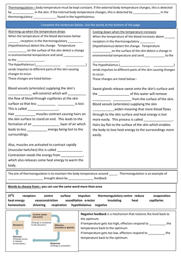 Homeostasis:- Thermoregulation - AQA GCSE Biology 9-1 Revision Sheets ...