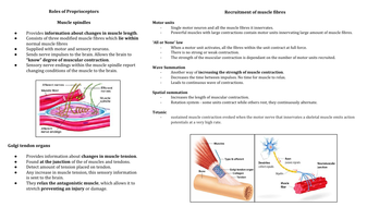 AQA A Level PE revision - Anatomy and Physiology 'Topic on a page ...