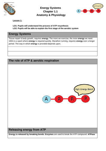 A-Level PE. Energy Systems (Chapter 1.1) | Teaching Resources
