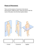 Planes of Movement and Axis of Rotation | Teaching Resources