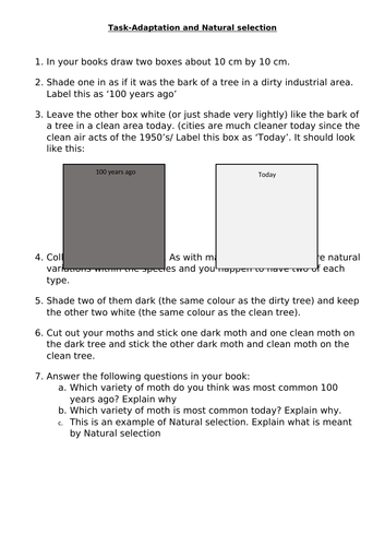 Natural selection and Adaptations Peppered moth activity | Teaching ...