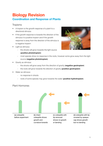 EDEXCEL Coordination and response in plants notes for IGCSE Biology ...