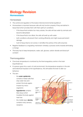 EDEXCEL IGCSE Biology - Homeostasis notes | Teaching Resources