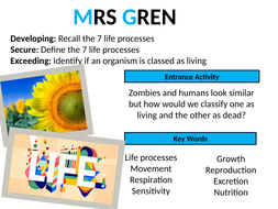 GCSE Biology: MRS GREN (Lesson 1) | Teaching Resources