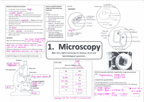 Microscopy and microbiology required practical revision 9-1 AQA ...