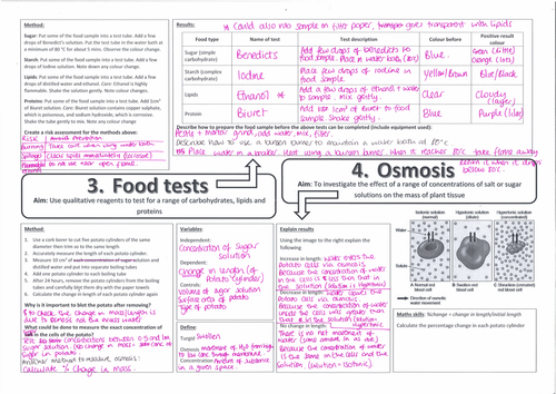 Organisation Biology requires practical revision 9-1 AQA | Teaching ...