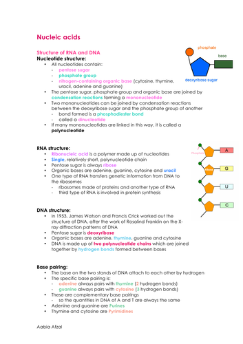 AQA A Level Biology NUCLEIC ACIDS notes for NEW A LEVEL SPEC | Teaching ...
